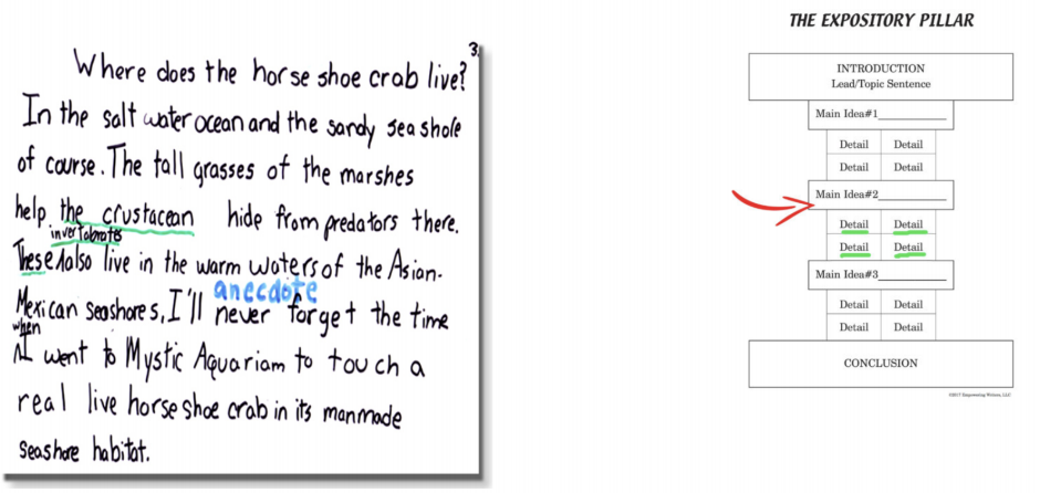 A 4th Grade Expository Student Writing Sample a-4th-grade-expository-student-writing-sample